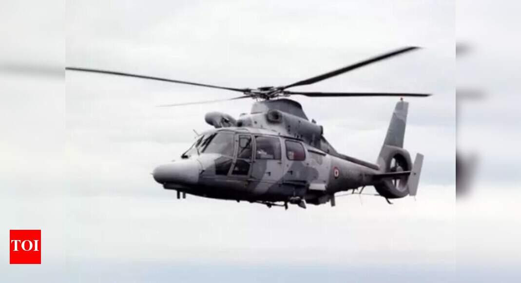 Airbus sees growing demand for choppers in India in 3-5 yrs - Times of ...