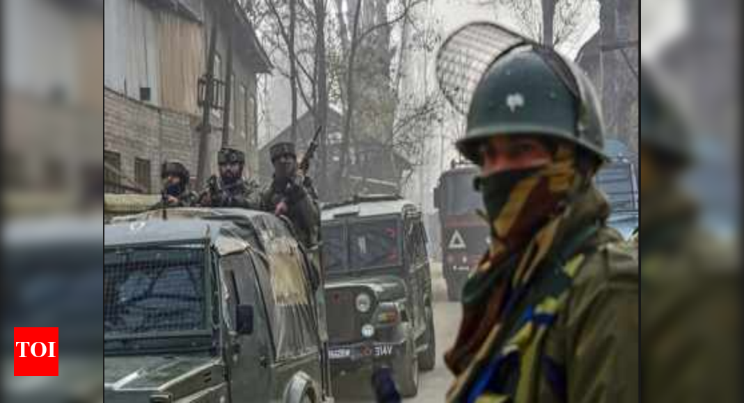 2 terrorists killed in Baramulla encounter | India News - Times of India
