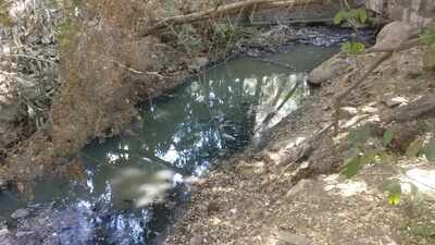 Blocked drainage nallah a heath hazard - Times of India