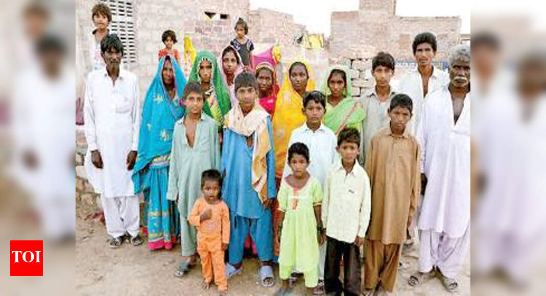 Pakistani migrants can now apply for citizenship online | Jodhpur News ...