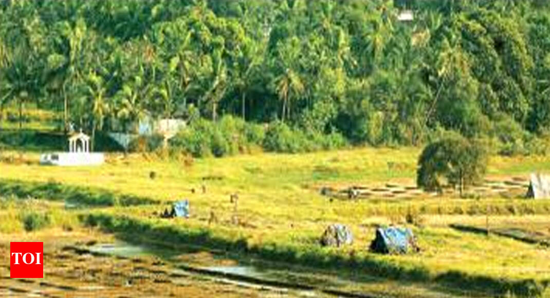 ‘Goa needs policy for natural resources, sustainable growth’ | Goa News ...