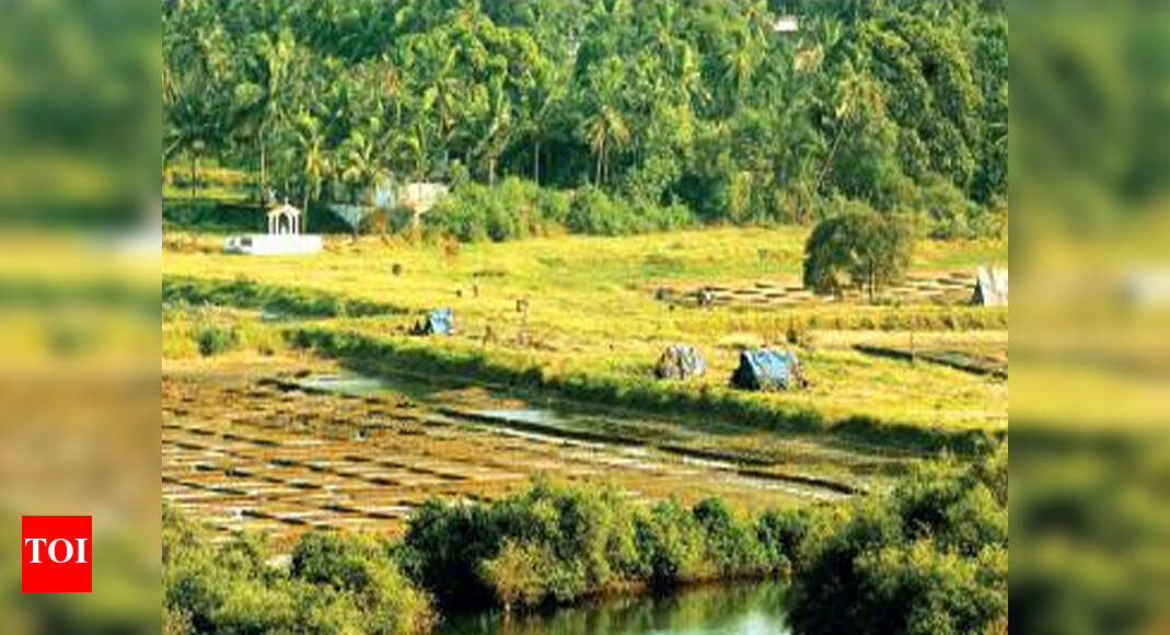‘Goa needs policy for natural resources, sustainable growth’ | Goa News ...