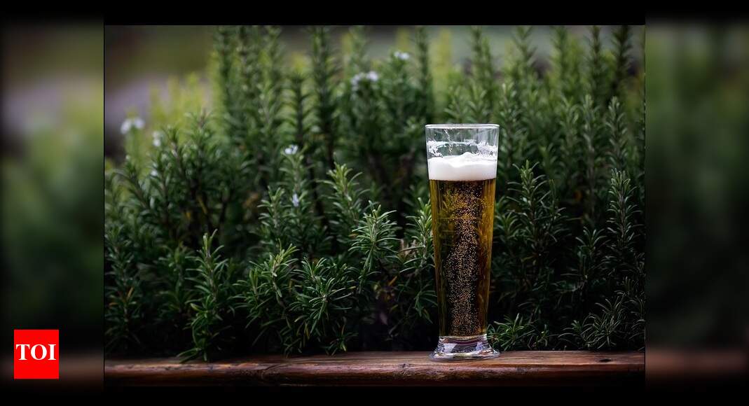 Beer Glasses: Fancy beer mugs and glasses for a phenomenal drinking ...