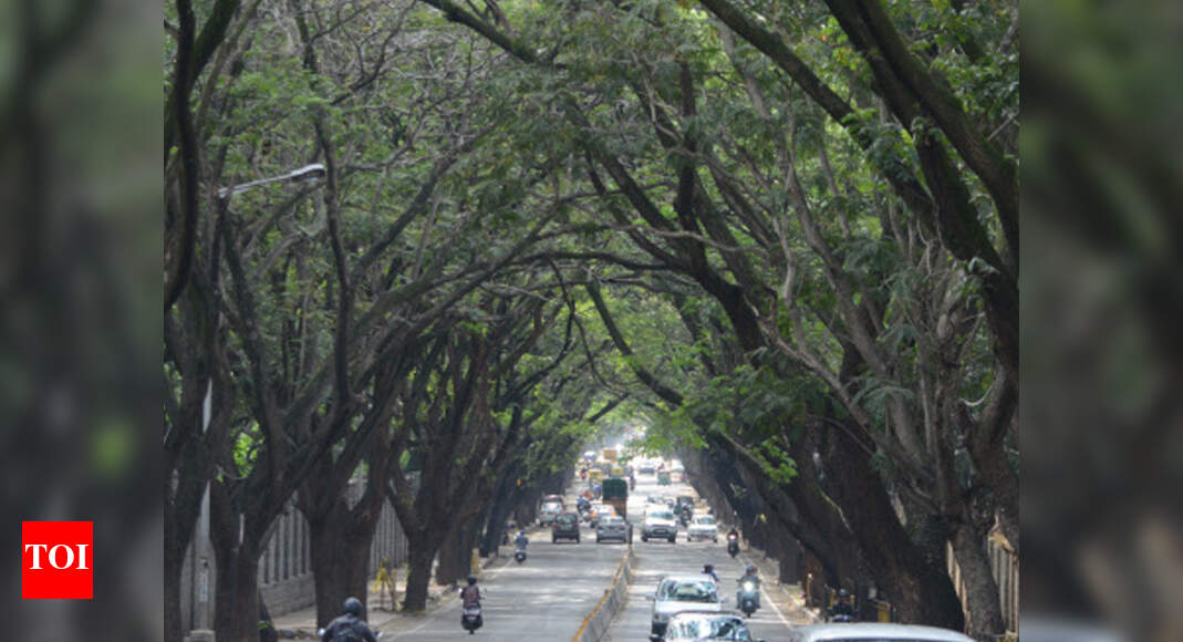 Bengaluru’s tree census to begin on March 3 | Bengaluru News - Times of ...