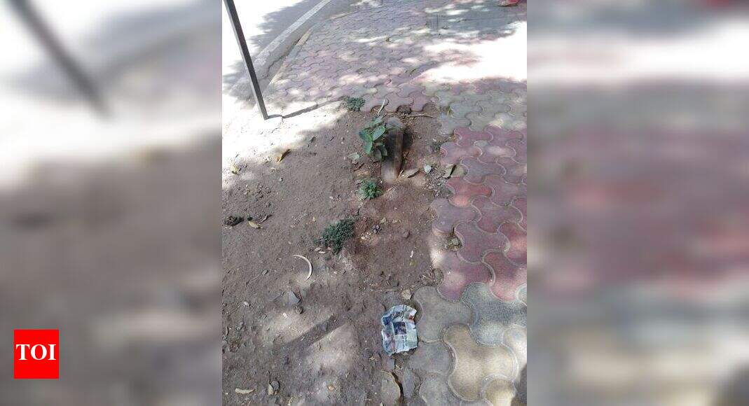 Bad footpath - Times of India