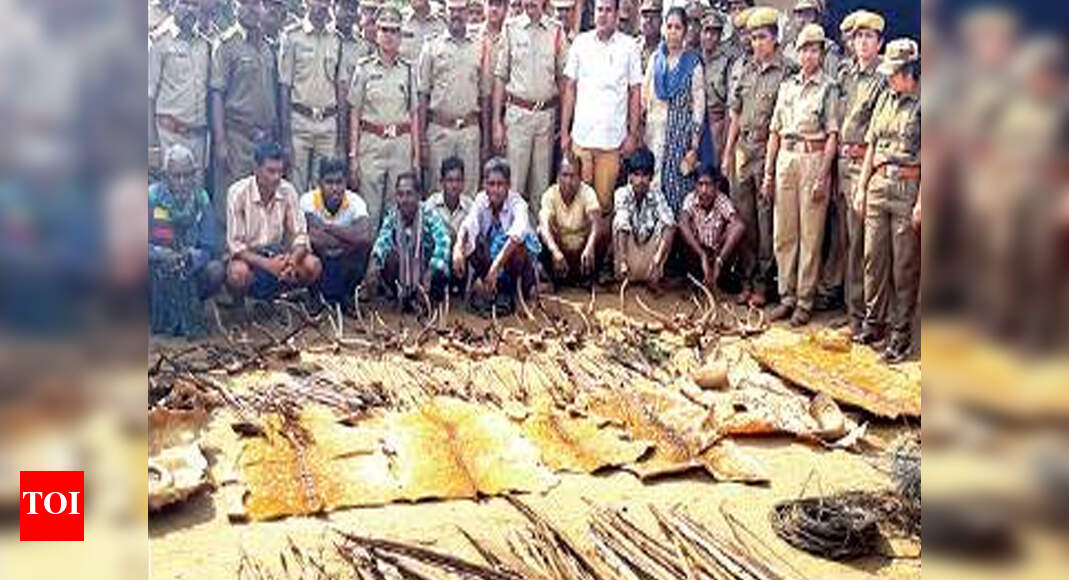 Animal poaching: Forest department busts racket in Kothagudem ...