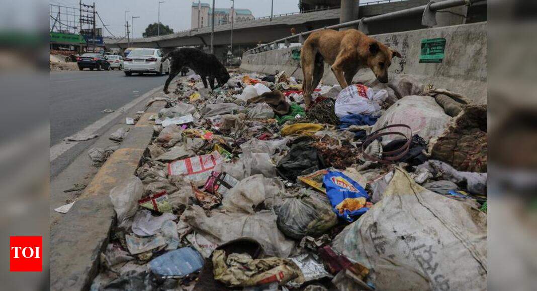 Garbage piles up along key city road, commuters fume | Gurgaon News ...