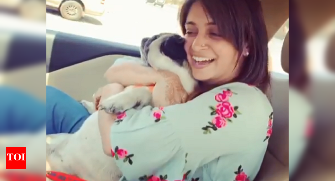 Watch: Bigg Boss 12's Dipika Kakar playing with her little dog Cuddle ...