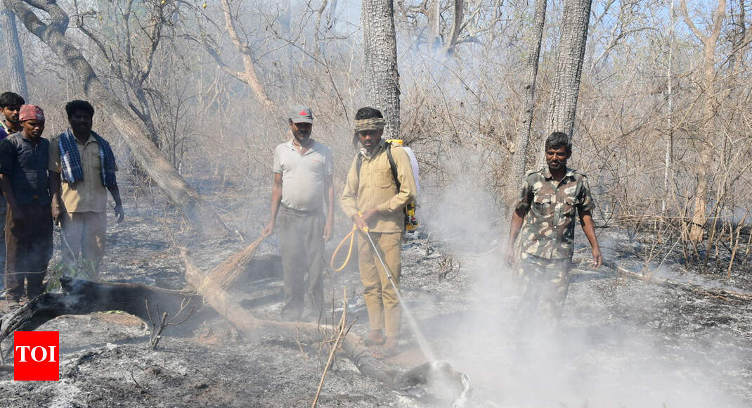 Fire alerts: Karnataka may be most prone to forest blazes | Bengaluru ...
