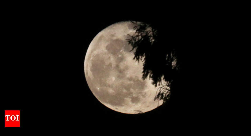 Nasa decodes how our Moon got 'sunburns' - Times of India