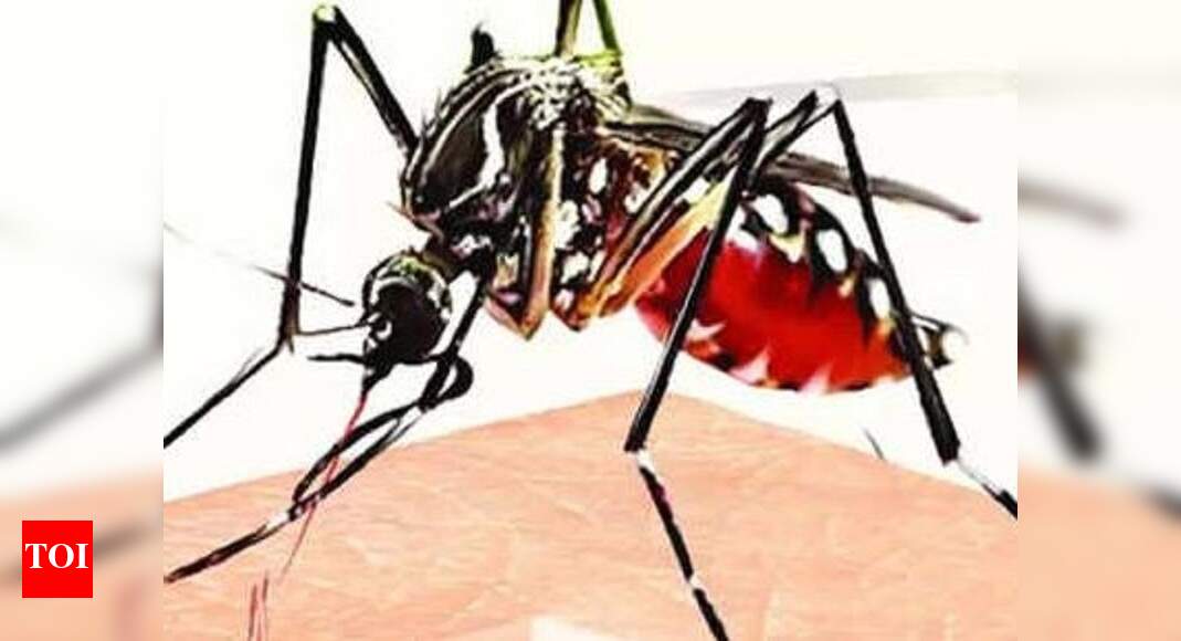 Civic tender for anti-malaria fogging rejected in Navi Mumbai | Navi ...
