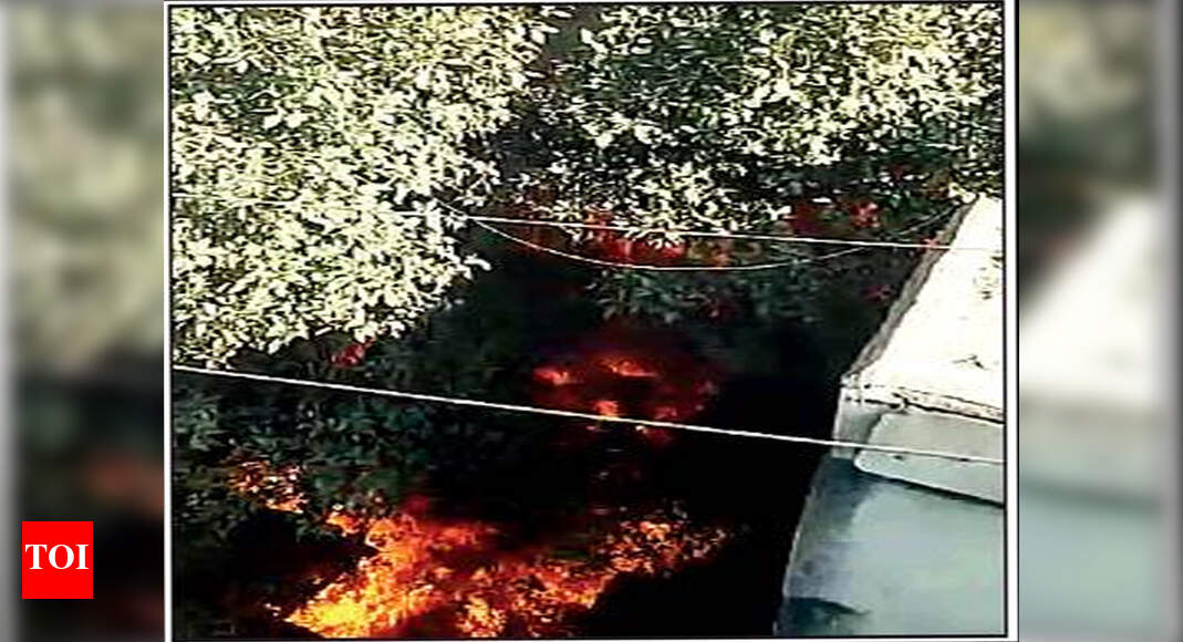 Fire breaks out at wada near Mandai, no injuries | Pune News - Times of ...
