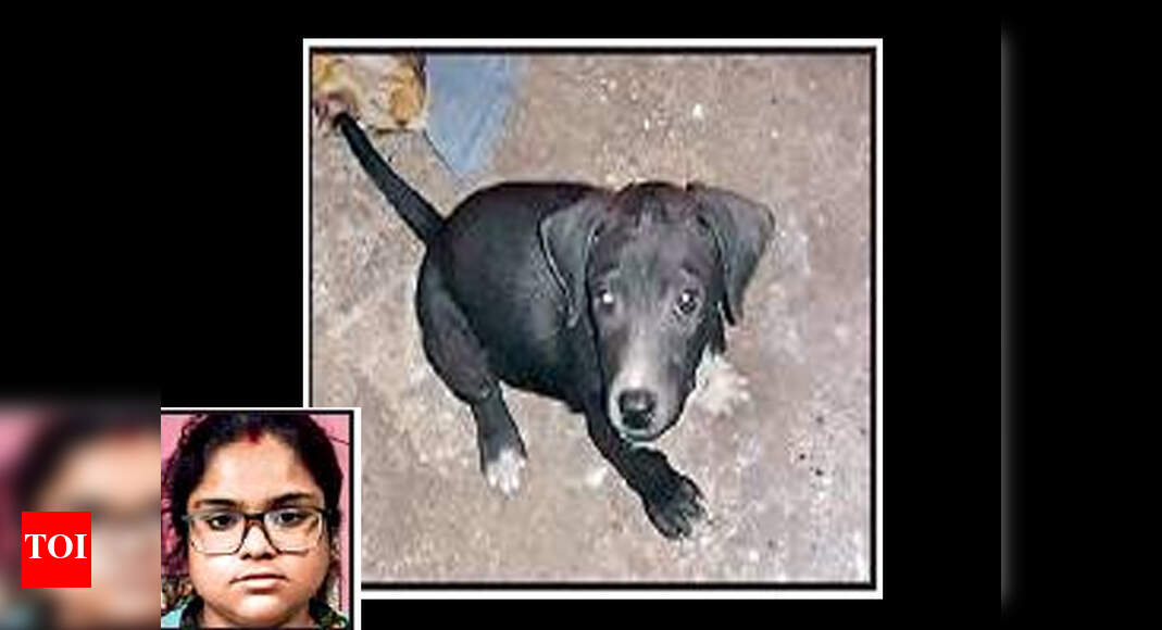 Baguiati pup death: Assault complaint against promoter | Kolkata News ...
