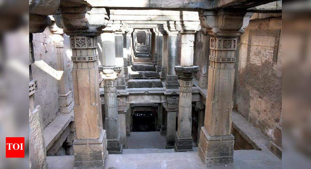 Sevasi stepwell stepping into history | Vadodara News - Times of India