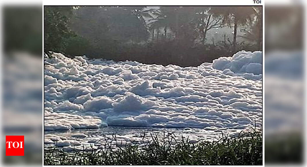 Bangalore: Varthur Lake froth spills on to Bengaluru streets ...