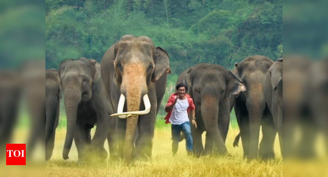 Fans go gaga over Vidyut Jammwal's seamless action sequences in ...