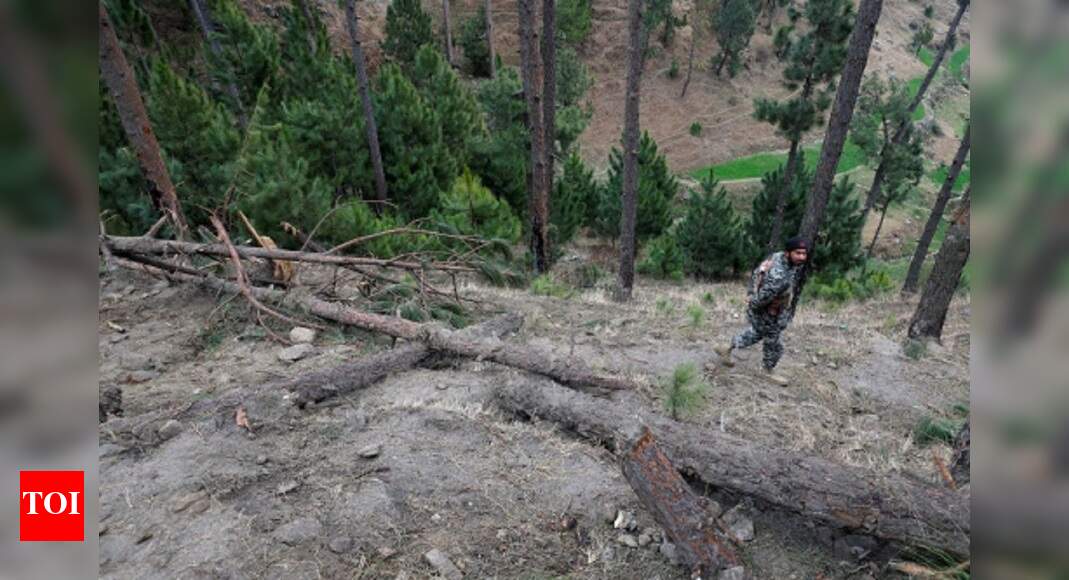 Pakistan registers FIR against IAF pilots for bombing trees: Report ...