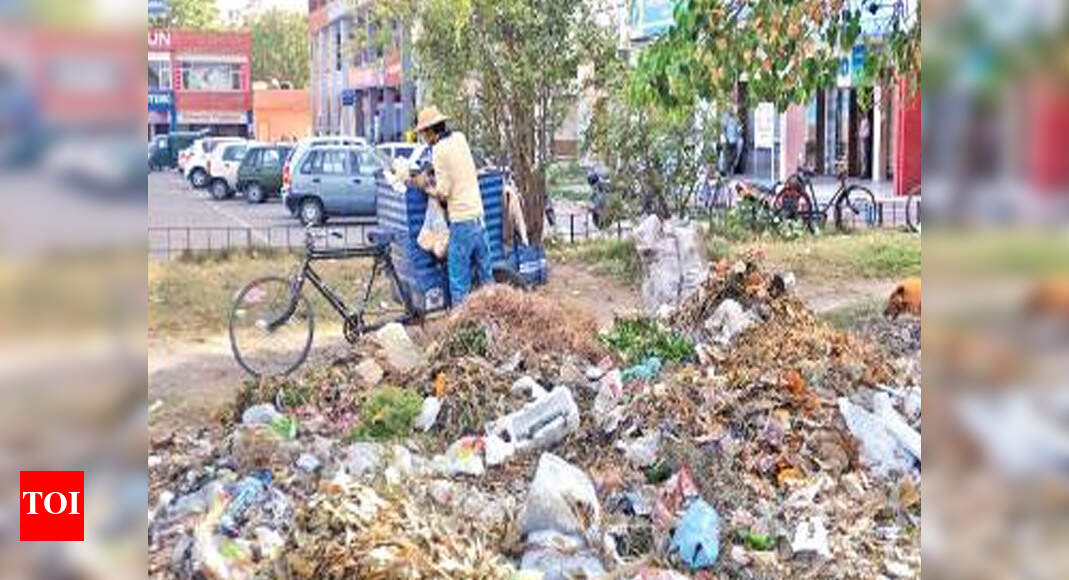 Waste segregation training for Panchkula residents | Chandigarh News ...
