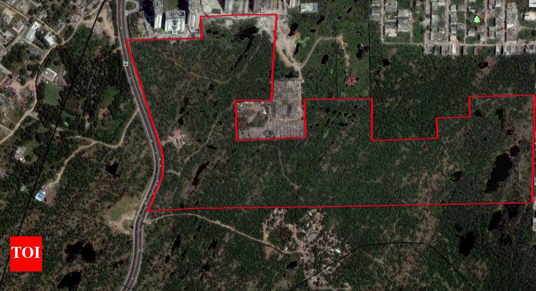 deemed forest: Chandigarh: NGT identifies first deemed forest in ...