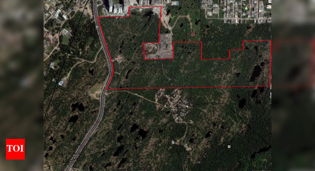 Deemed Forest: Chandigarh: NGT identifies first deemed forest in ...