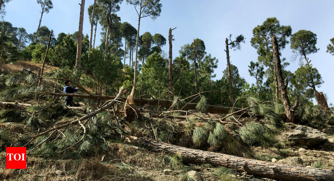 Balakot Air Strike: ‘263 terrorists at Balakot camp ahead of air strike ...