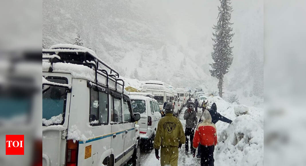 Fresh snowfall thrills tourists in Himachal Pradesh | Chandigarh News ...