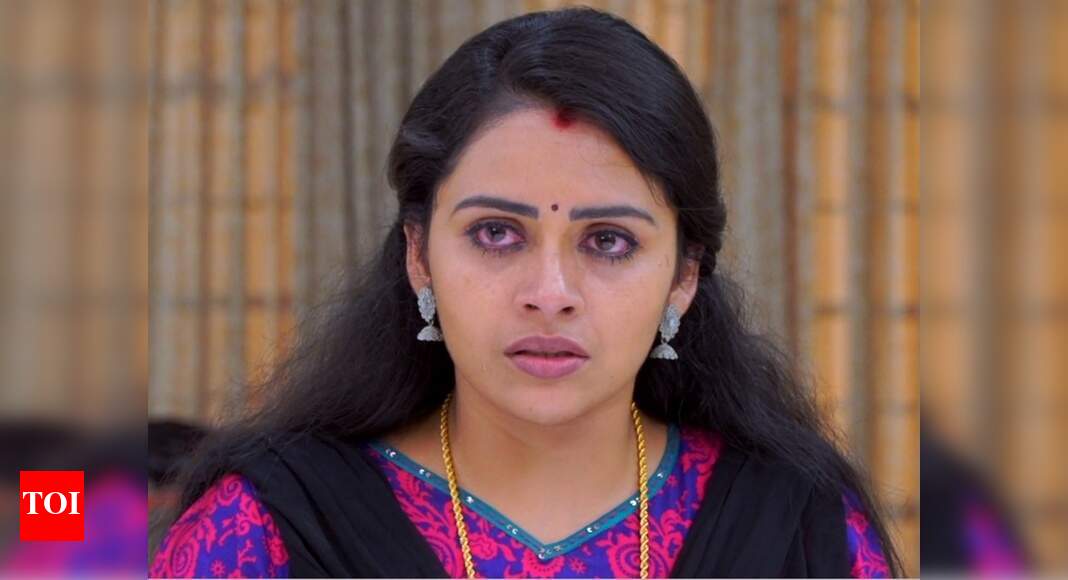 Seetha Kalyanam written update, March 11, 2019: Seetha faces the heat ...