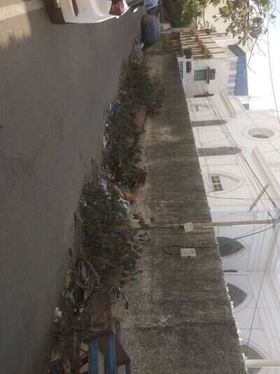 Garbage near school, church & residences - Times of India