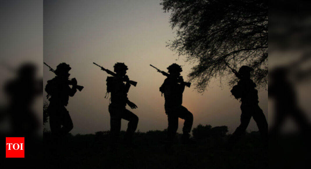 Dozen insurgent camps 'smashed' along India-Myanmar border in joint ...