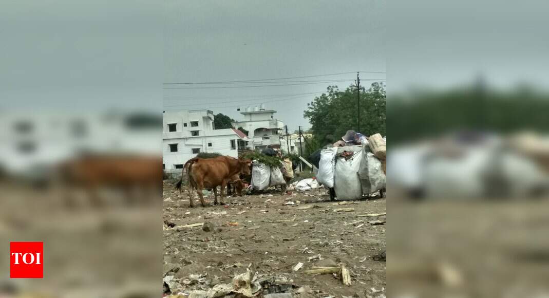 Is this the swachata method? - Times of India