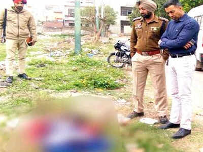 Kharar murder case: Killer yet to be known | Chandigarh News - Times of ...