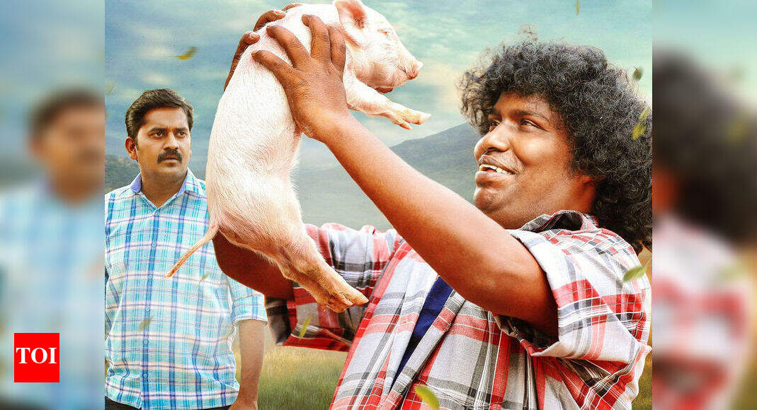 A piglet for the laughs in this comedy | Tamil Movie News - Times of India