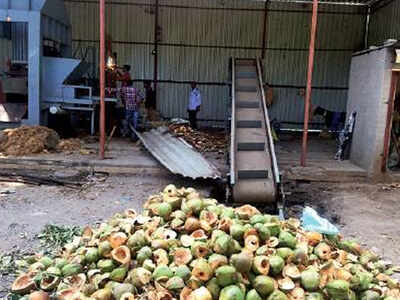 Tender coconut shell garbage to turn into gold at Reay Road crematorium ...