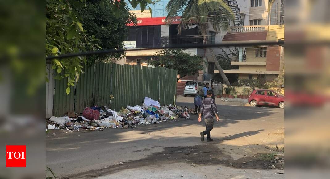 Garbage and Sewage menace continues in HSR layout - Times of India