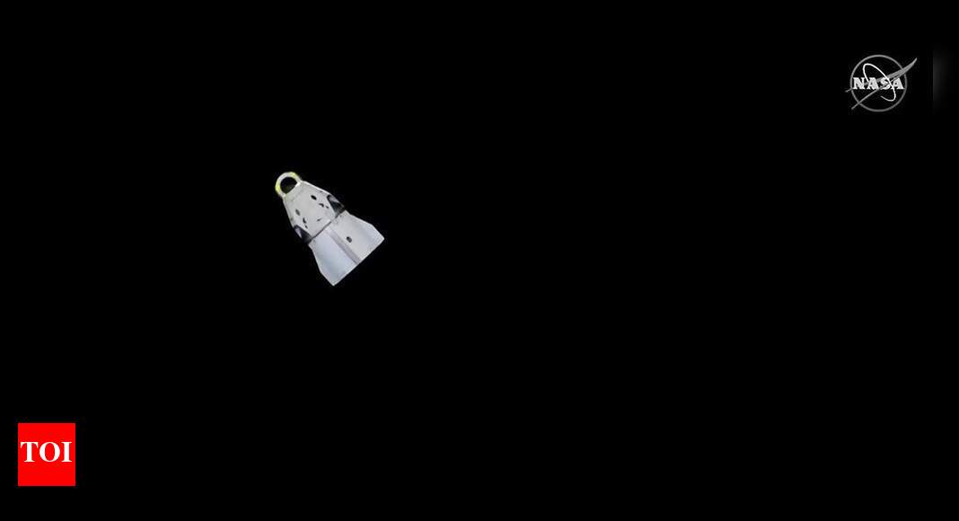 Dormant hepres viruses reactivate during space travel: NASA - Times of ...