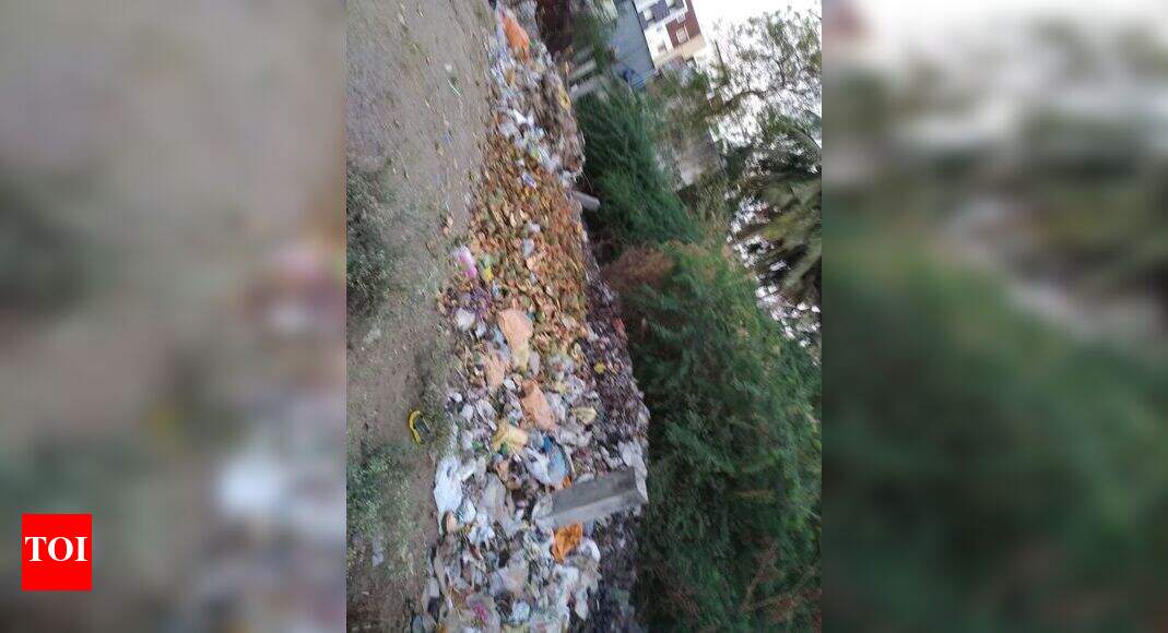coconut shells and other garbage dumped - Times of India