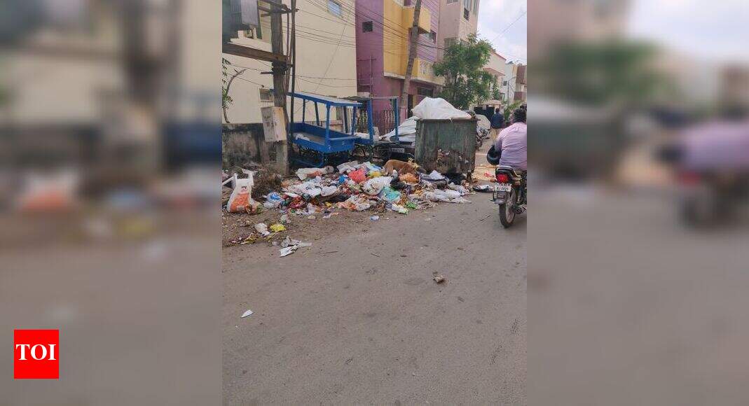 Months and Months of Garbage - Times of India