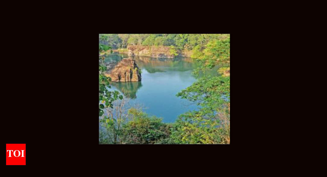 Scorched Kerala looks at quarry ponds | Thiruvananthapuram News - Times ...