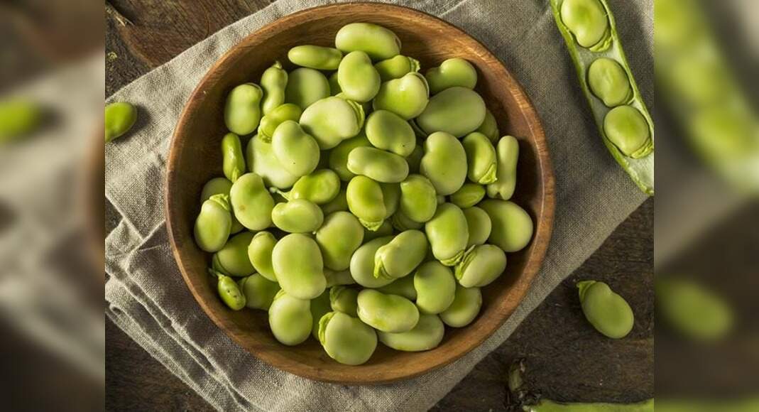 Amazing Health Benefits Of Fava Beans