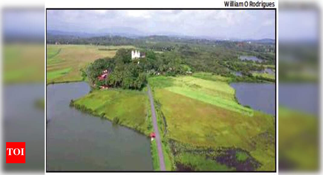 Soon, agro-tourism in St Estevam | Goa News - Times of India