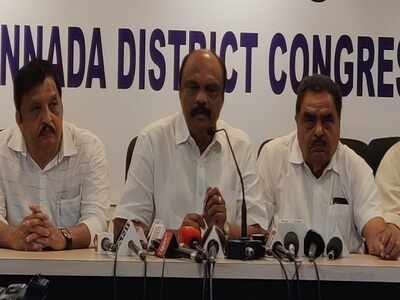 Coalition partners put on united front to back Congress candidate ...