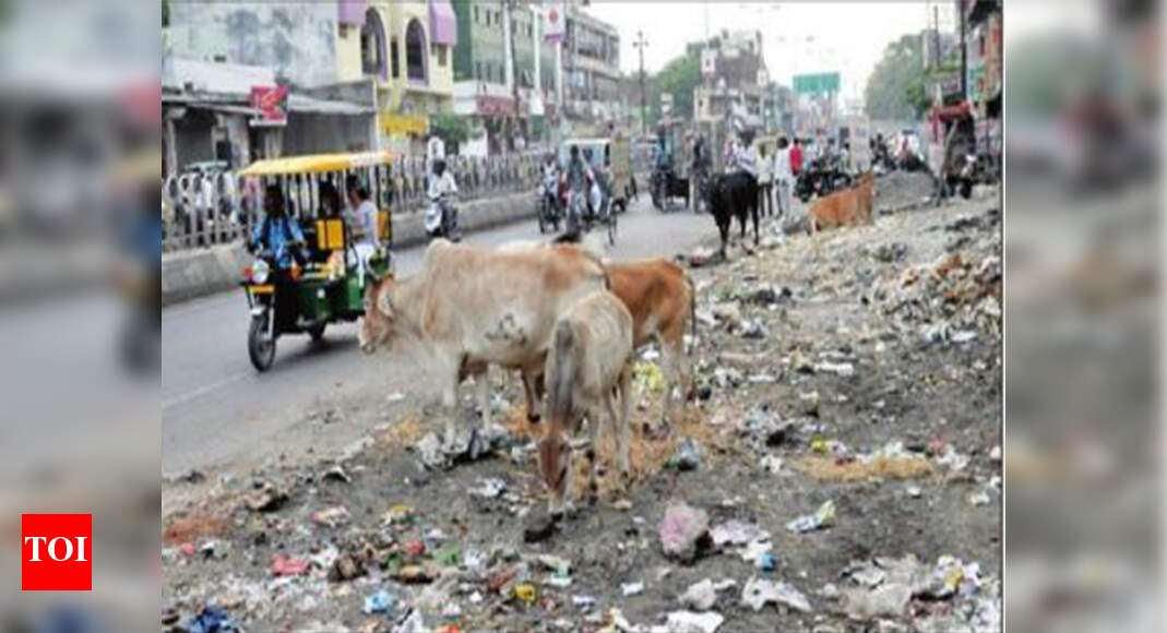 4 ‘model’ wards to show Gurgaon how to treat garbage | Gurgaon News ...