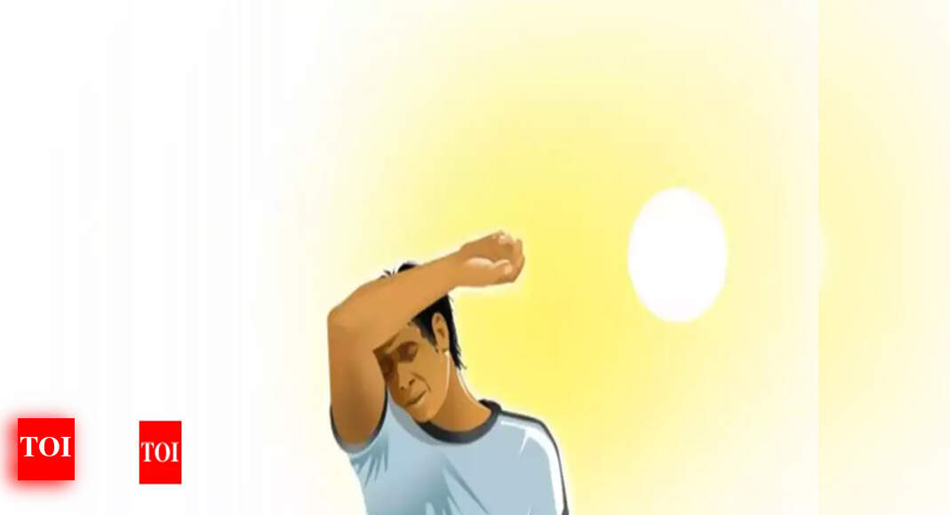 Hyderabad: Get ready for hot summer ahead | Hyderabad News - Times of India