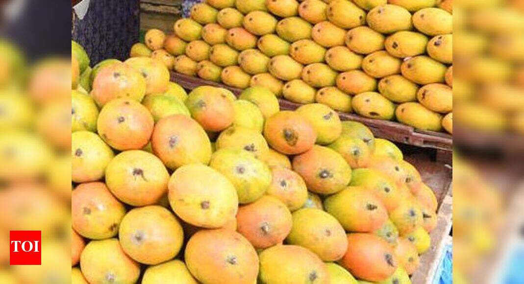 Mangoes arrive, but costly | Coimbatore News - Times of India