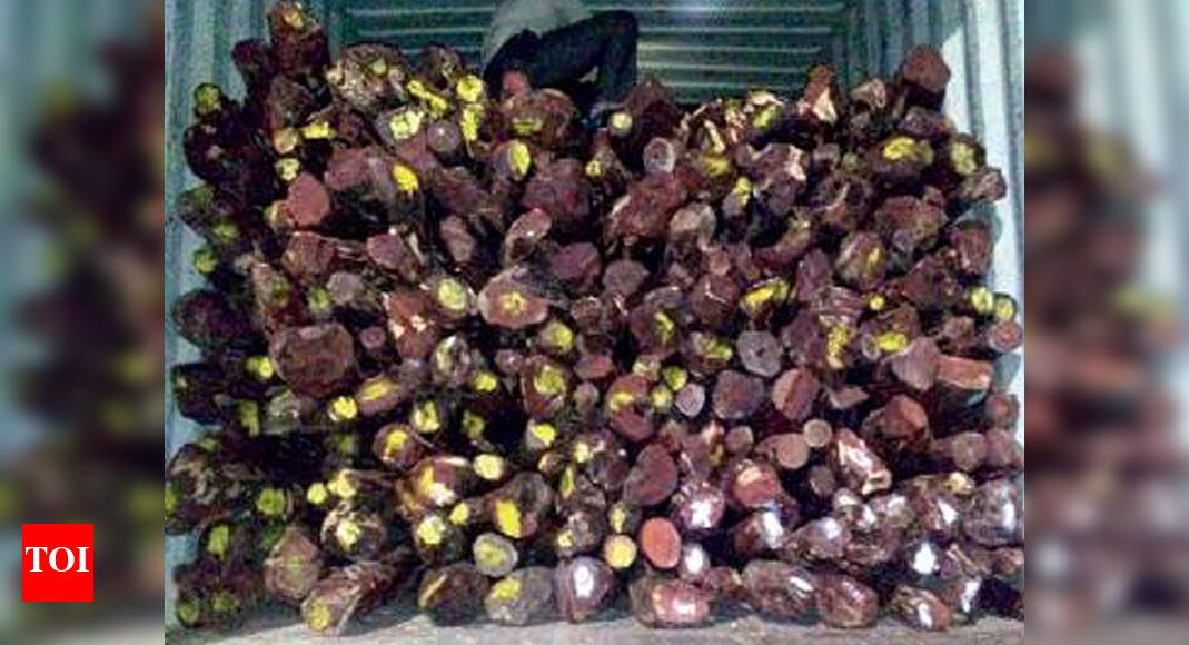 Customs officials seize 18 tonnes of red sanders worth Rs 9 crore ...