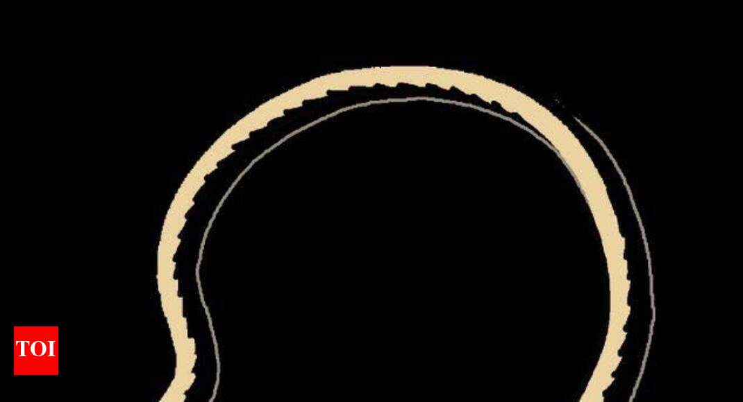 13-year-old gets entangled in swing rope, dies | Indore News - Times of ...