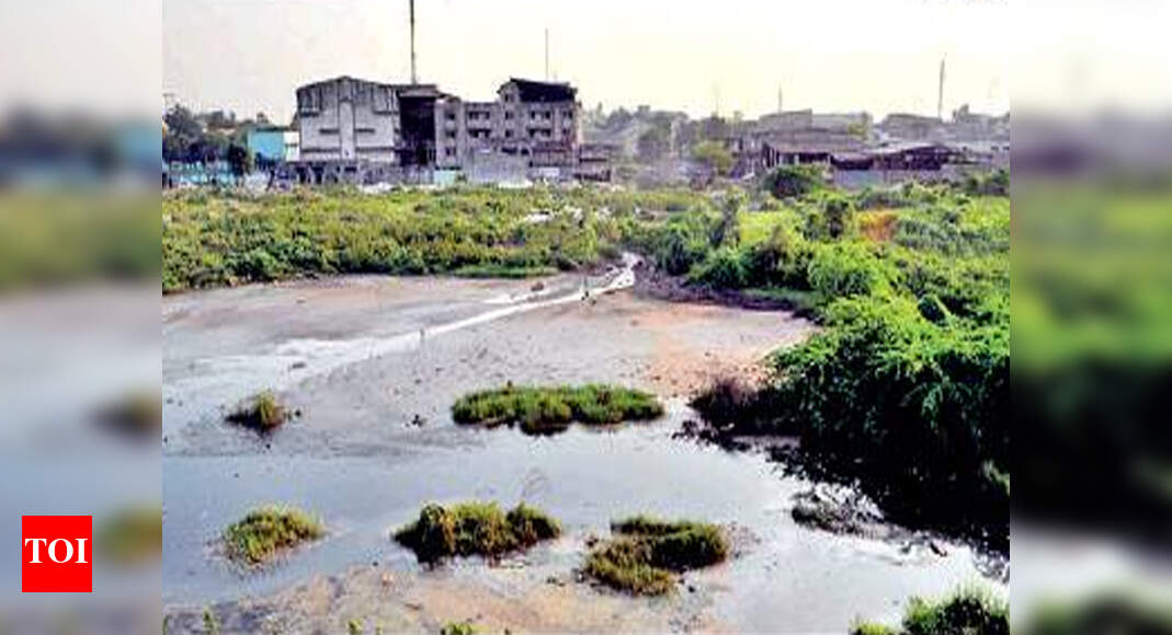 Sachin GIDC units under lens for pollution | Surat News - The Times of ...