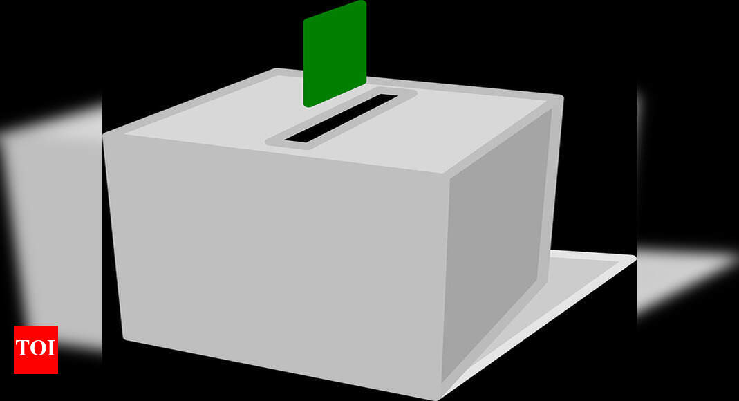 Blind voters to get braille ballot papers in Lok Sabha polls | Dehradun ...