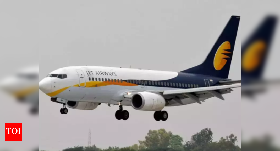 Jet Airways operating around 28 planes: Aviation secretary - Times of India