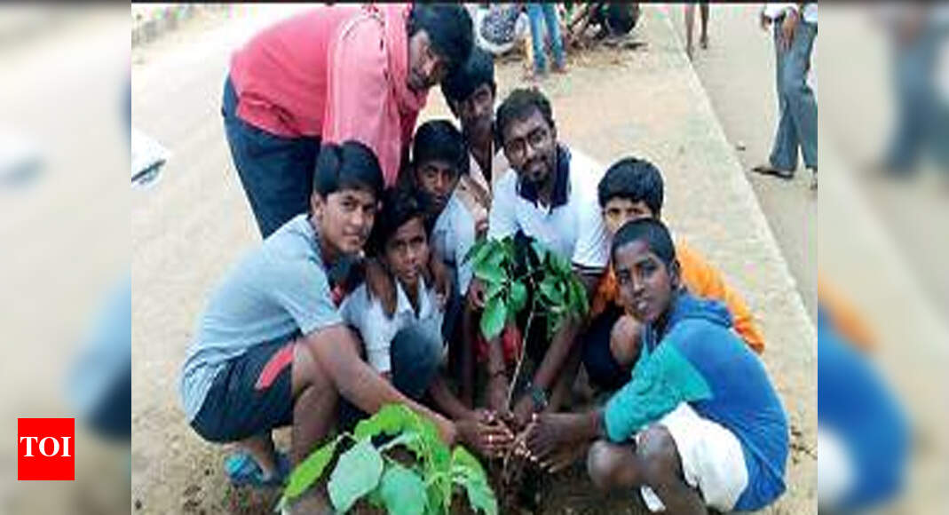 Whitetopping debris sapping life out of saplings: Activists | Bengaluru ...